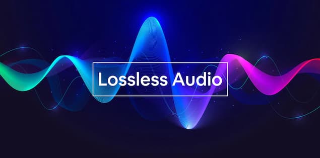 Lossless Audio - A Detailed Guide | HeadphonesProReview