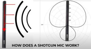 9 Best Shotgun Mics in 2024 | HeadphonesProReview